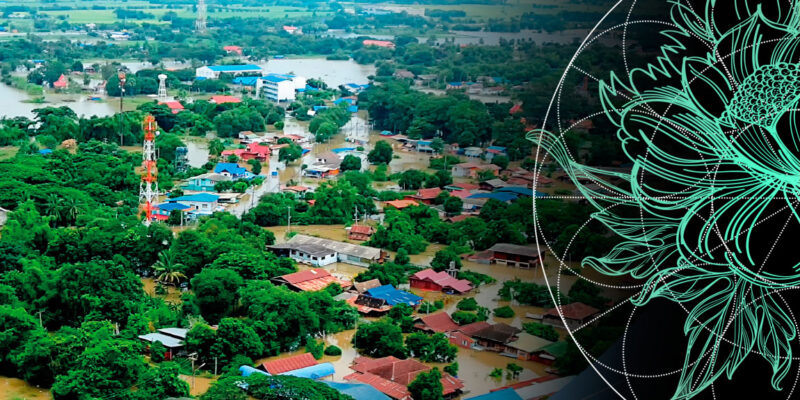 Global Natural Catastrophe & Hazard Review. Insurance Implications