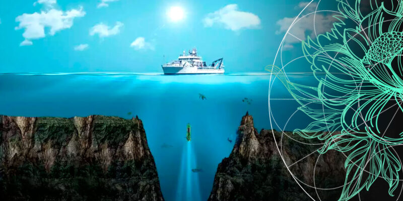 Bermuda Reinsurance Market Key Operating Data, Pricing & Terms