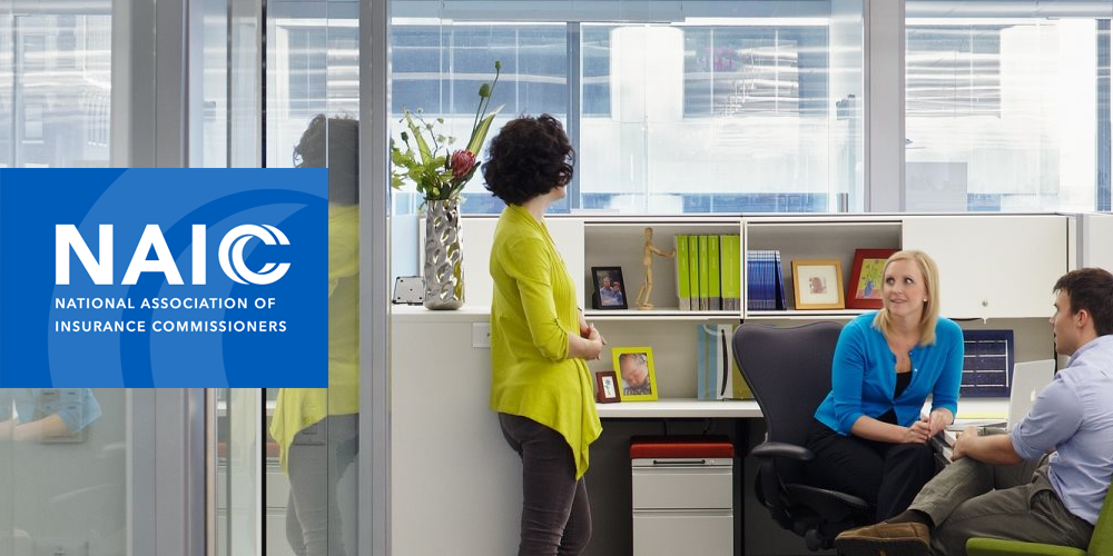 NAIC adopts change to life insurer capital & investments monitoring