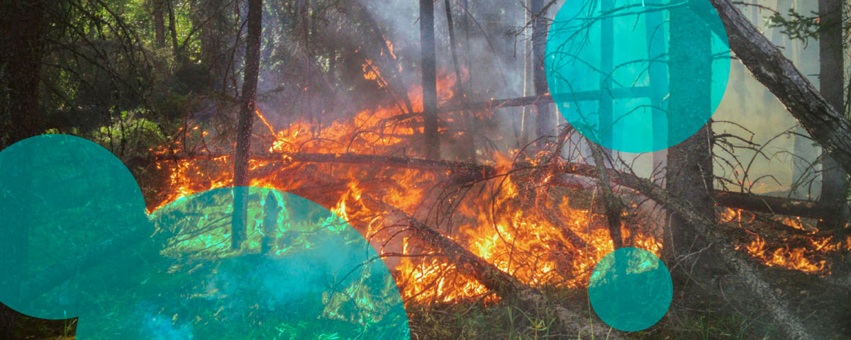 Canada’s 2025 wildfire season ranks second worst on record