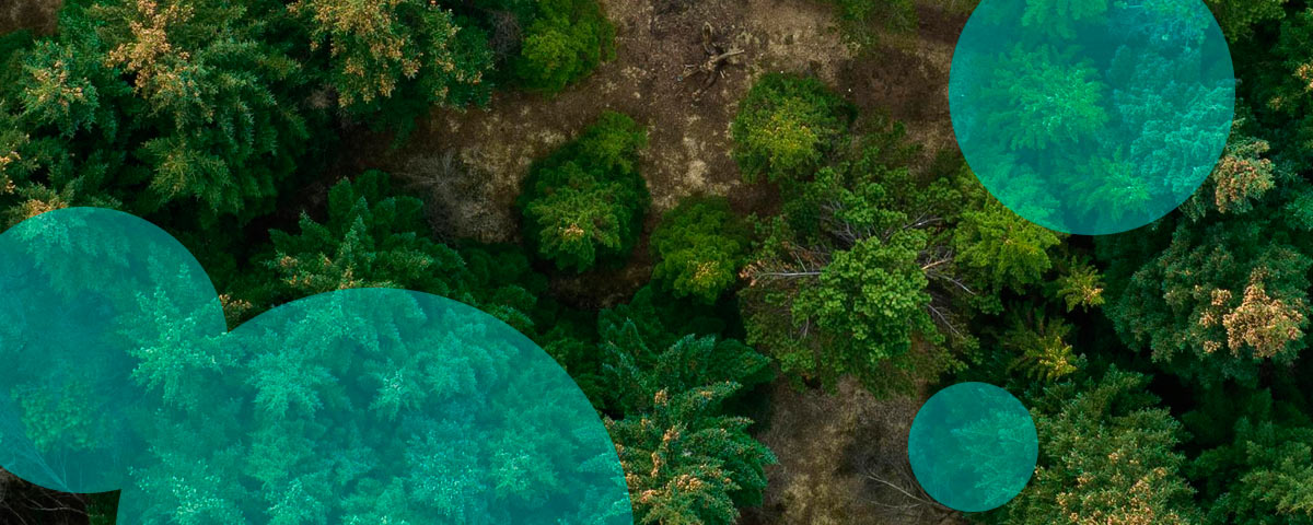 Verisk launched its Next Generation Models for re/insurers